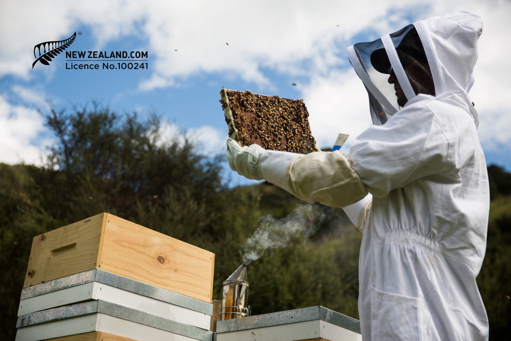 For Authentic New Zealand Manuka - Look For The FernMark - Manuka ...